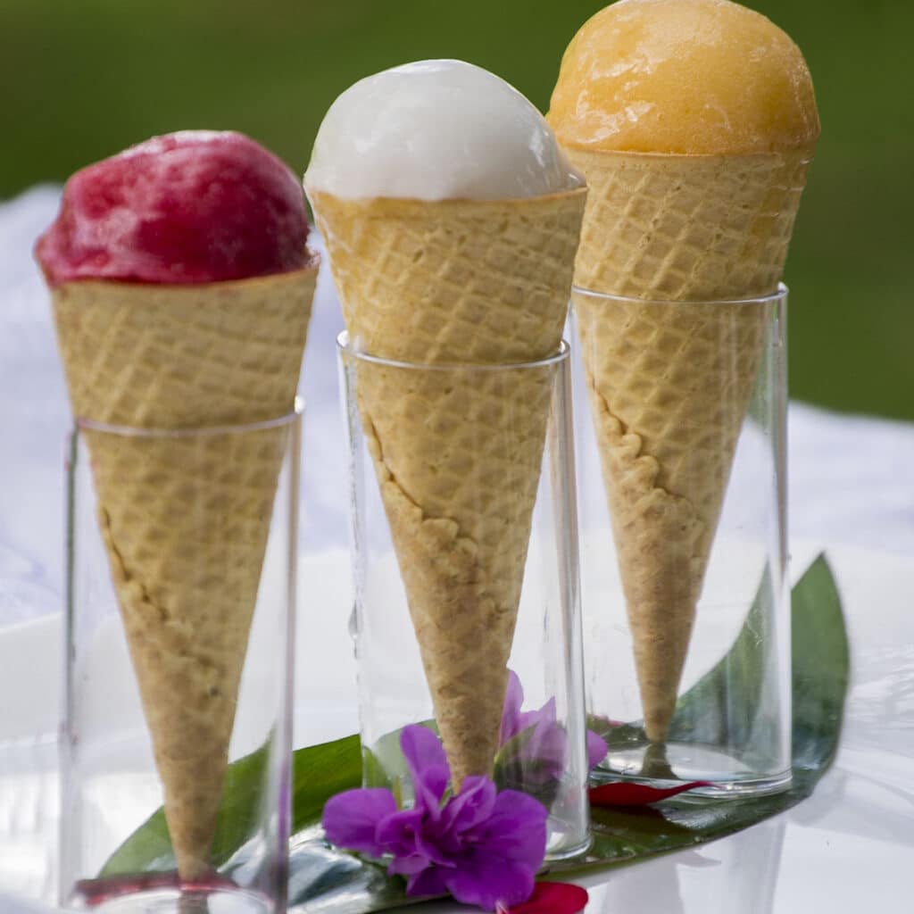 Helado de paila de frutas tropicales / Tropical fruits serbet – Guest ...